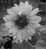 What is Dithering in Image Processing and How it Maintains Image Quality?