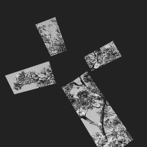 What Is Pruning In ML/AI?